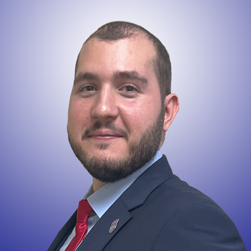 Expert Security Team in London, UK | Security Risk Specialists